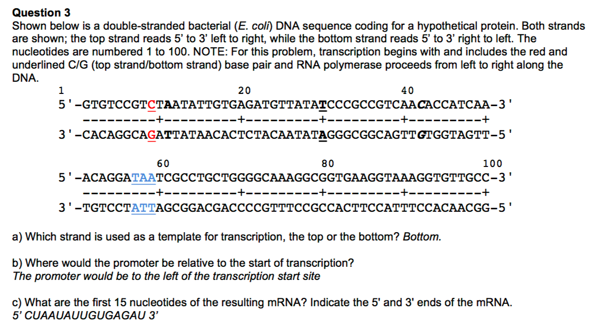 Solved What are the first 15 nucleotides of the resulting | Chegg.com