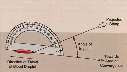 Blood Spatter Analysis Stringing