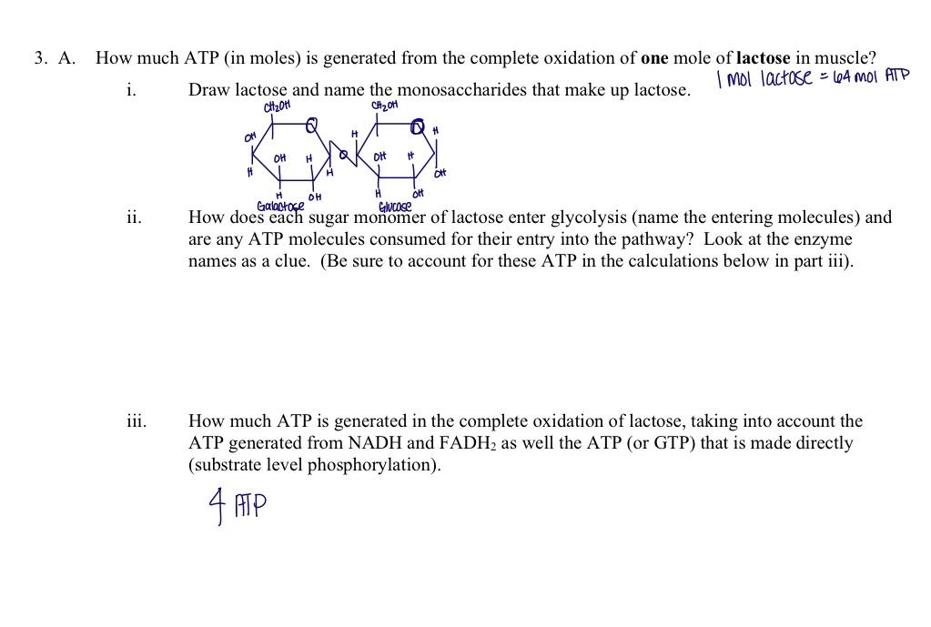 Solved 3. A. How much ATP (in moles) is generated from the | Chegg.com