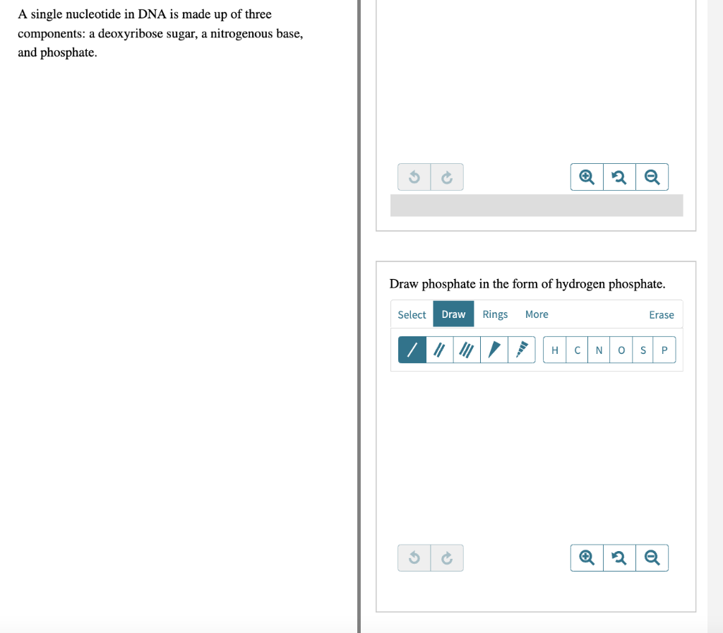 Solved The nucleotides adenosine-5'- monophosphate (A) and | Chegg.com