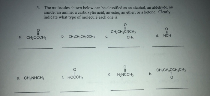 Solved The molecules shown below can be classified as an | Chegg.com