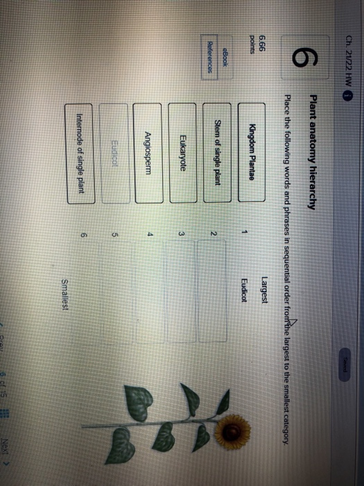 Solved Ch. 21/22 Hw 6 Plant anatomy hierarchy e largest to | Chegg.com