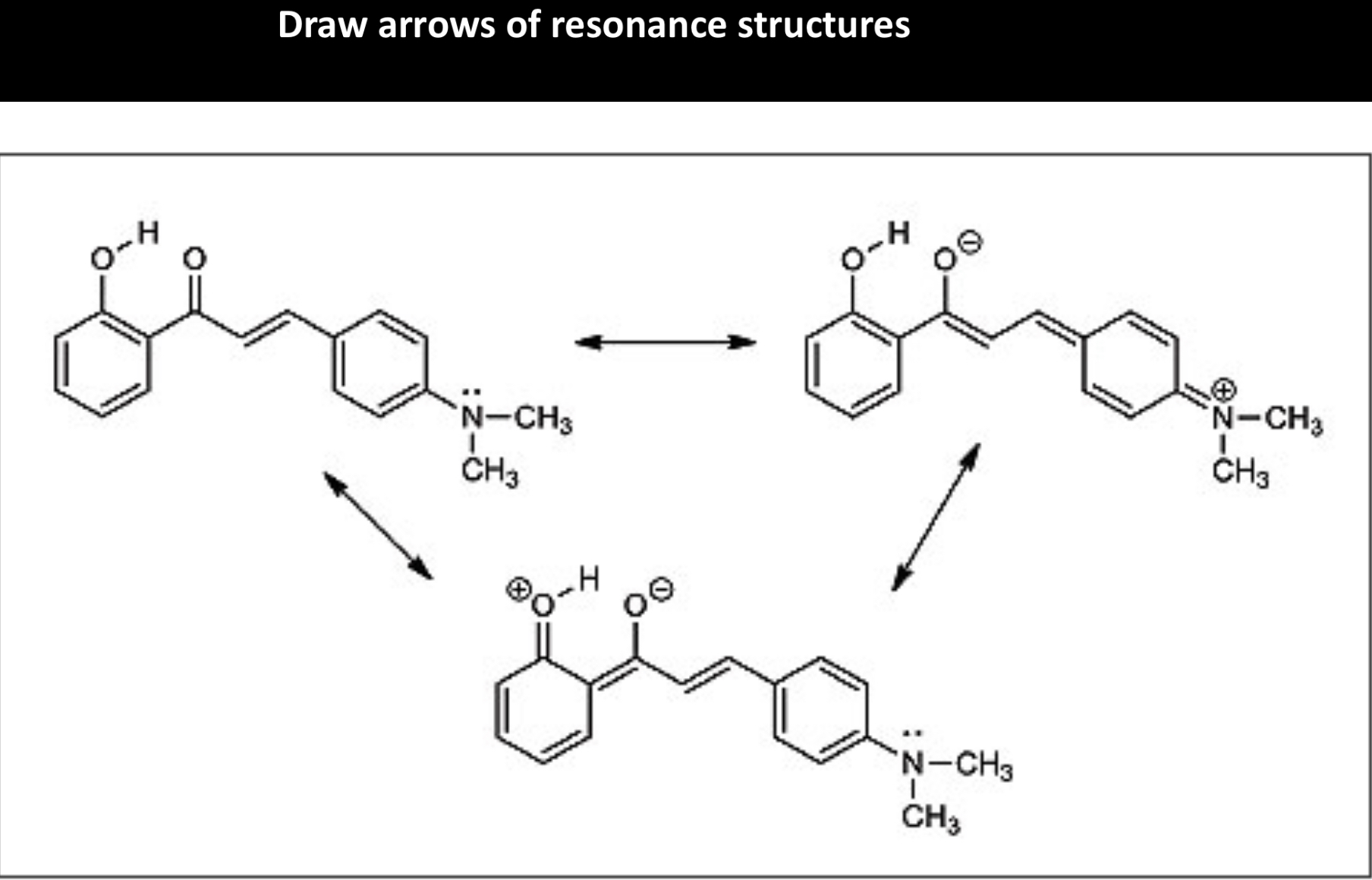 Solved Identify the movement of the wrong arrows and put the | Chegg.com