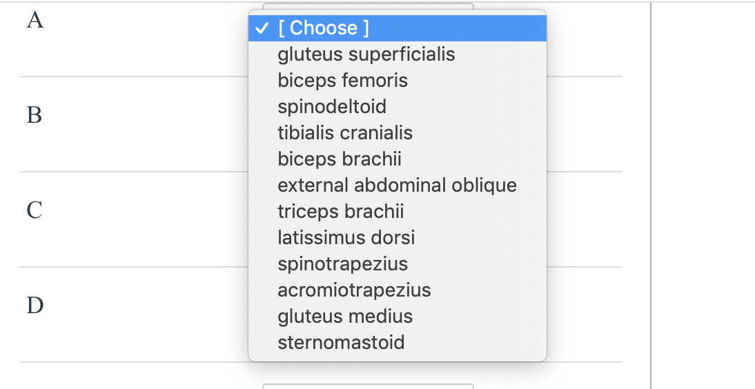 Solved Identify all of the indicated muscles using the | Chegg.com