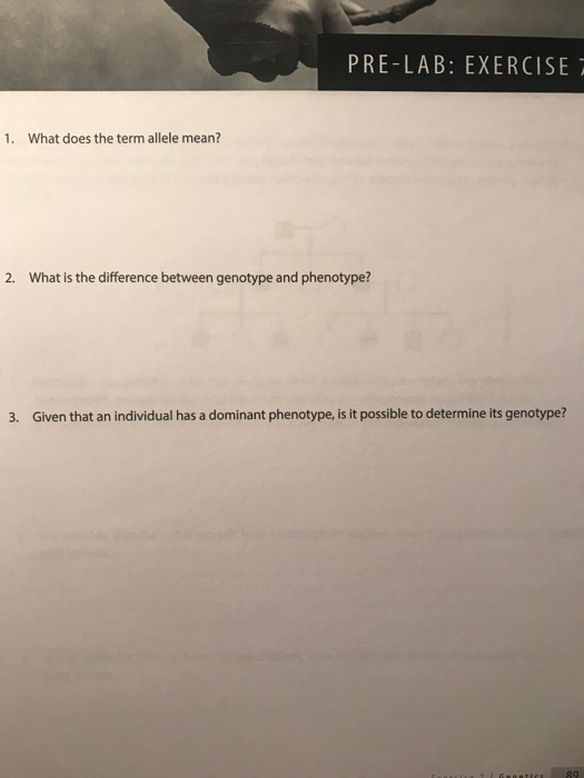 Solved PRE-LAB: EXERCISE 1. What does the term allele mean? | Chegg.com