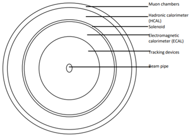 Hi, I've been given a "slice" of a particle detector | Chegg.com