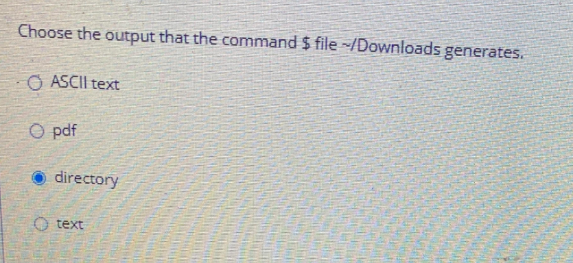 Solved Choose the output that the command $ file-/Downloads | Chegg.com