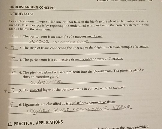 Solved UNDERSTANDING CONCEPTS I. TRUE/FALSE For each | Chegg.com