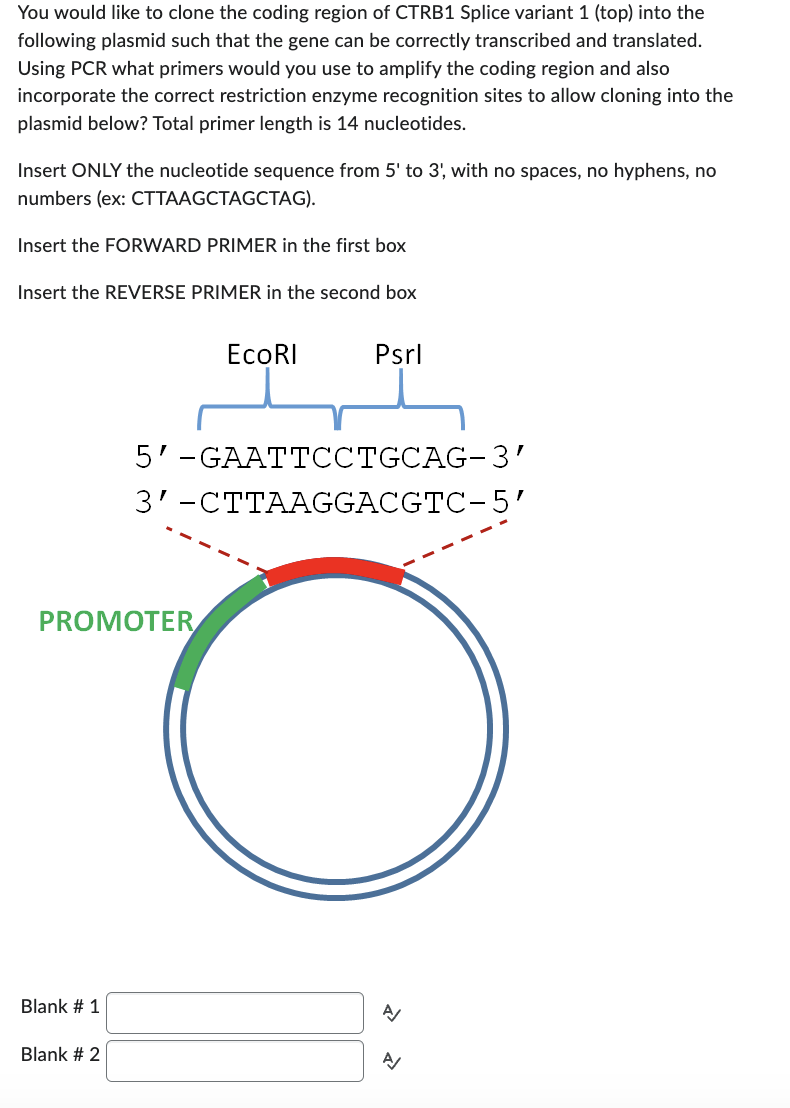 Solved You would like to ﻿clone the coding region of CTRB1 | Chegg.com