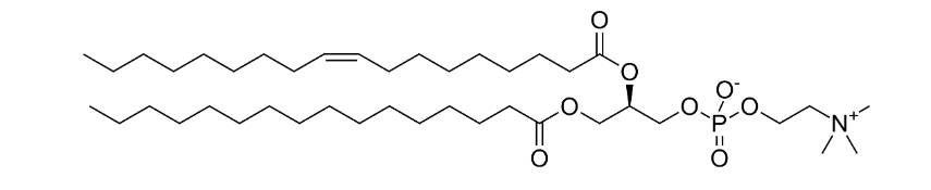 Solved Surfactants with an acyl chain typically form | Chegg.com