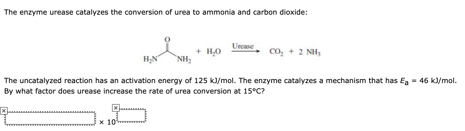 Solved The enzyme urease catalyzes the conversion of urea to | Chegg.com