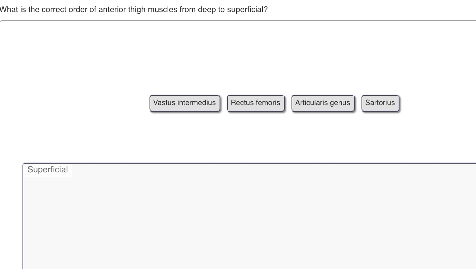 Solved What is the correct order of anterior thigh muscles | Chegg.com