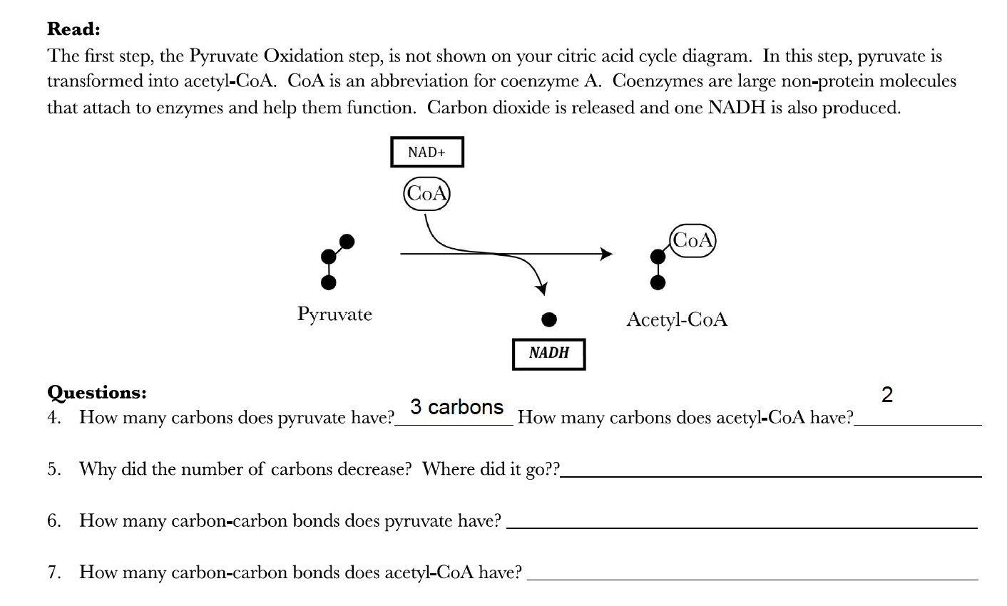 Solved Read: The first step, the Pyruvate Oxidation step is | Chegg.com