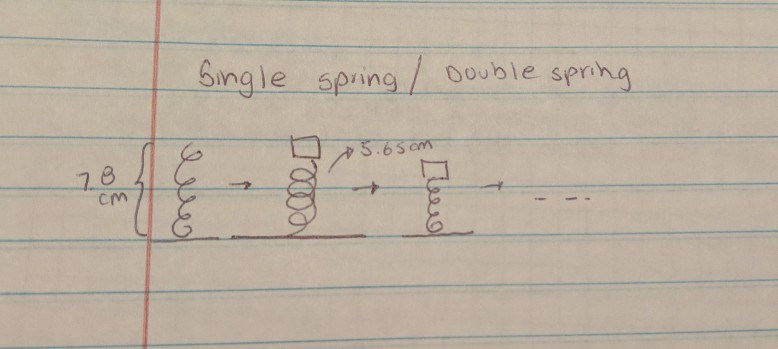 Solved There are a single and a double spring, which have | Chegg.com