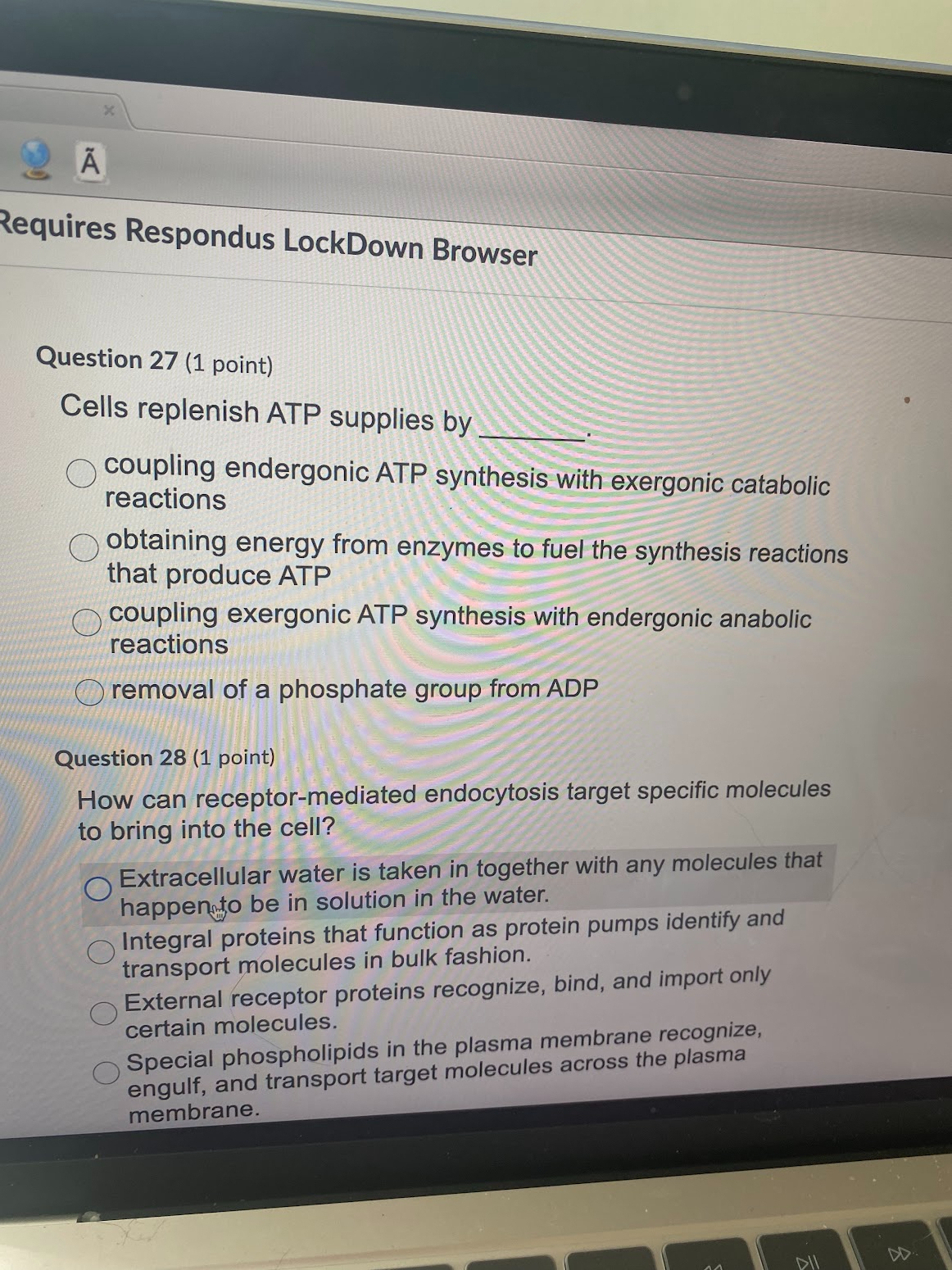 Solved Question 27 (1 ﻿point)Cells replenish ATP supplies | Chegg.com