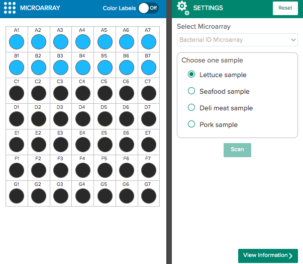 Solved Based on the Bacterial ID Microarray, place the | Chegg.com