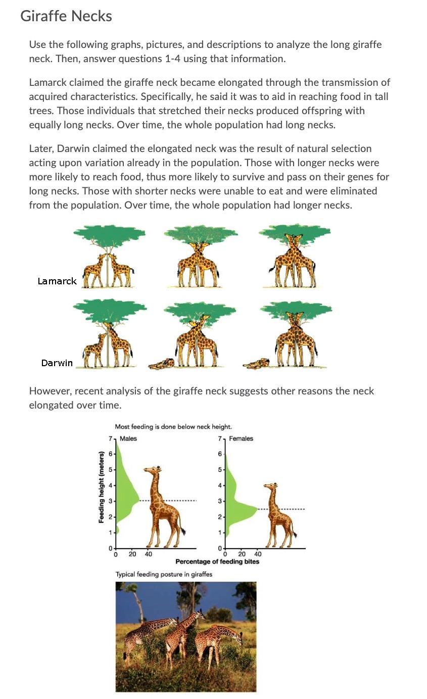 Solved Giraffe Necks Use the following graphs, pictures, and | Chegg.com