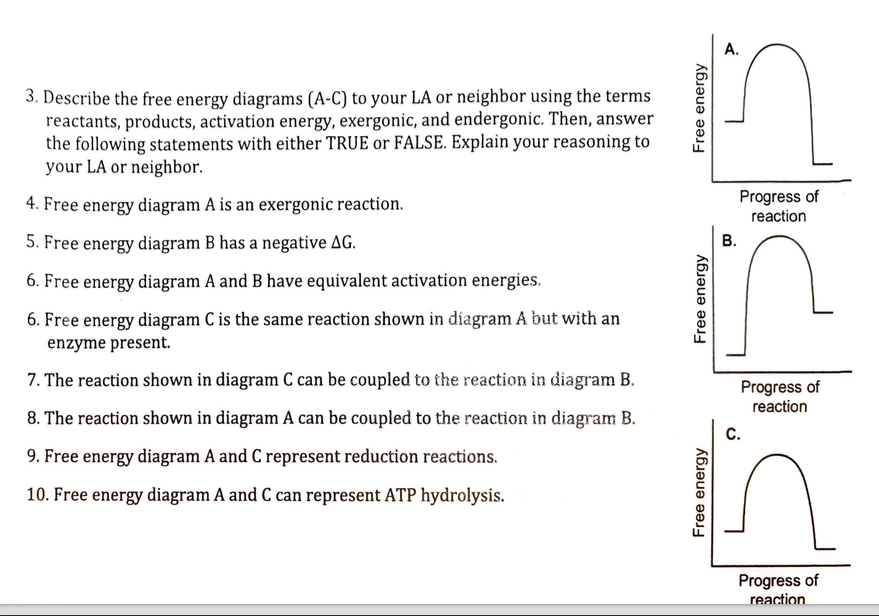 Solved A. 3. Describe the free energy diagrams (A-C) to your | Chegg.com