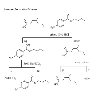 Solved Assignment 5: Separation Scheme Correction On a page | Chegg.com