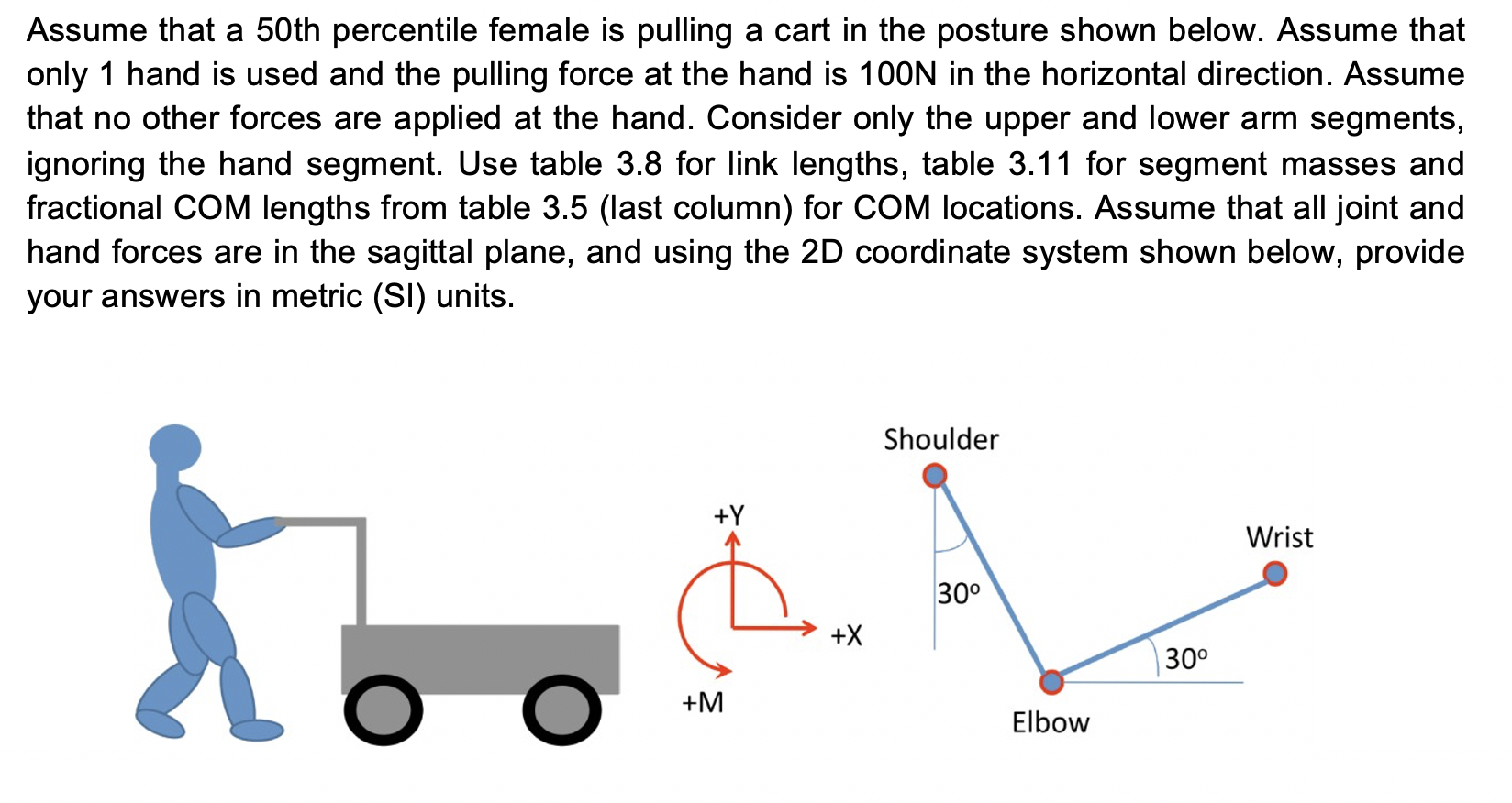 Solved Assume that a 50th percentile female is pulling a | Chegg.com