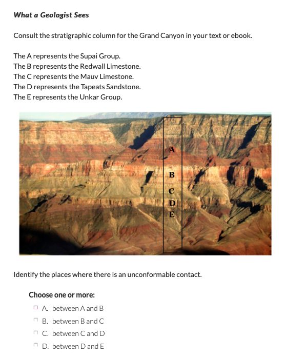 Solved What a Geologist Sees Consult the stratigraphic | Chegg.com