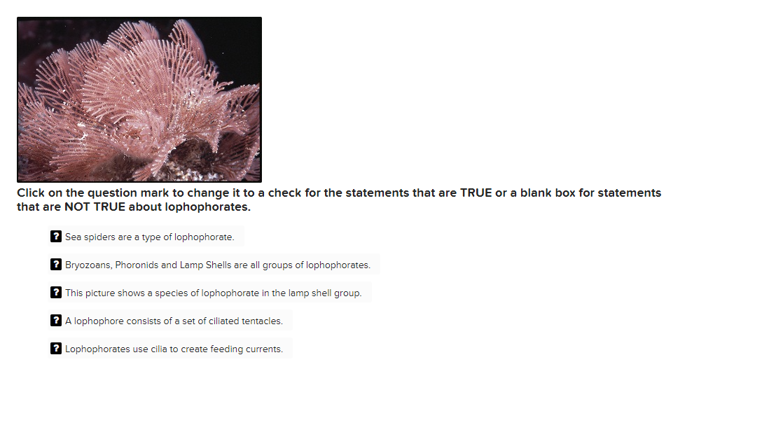 Solved Click on the question mark to change it to a check | Chegg.com