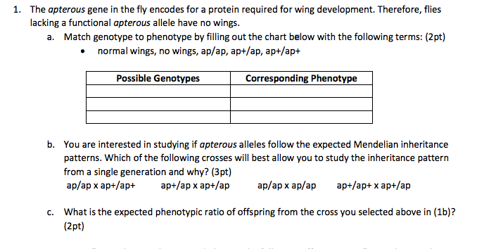 Solved 1. The apterous gene in the fly encodes for a protein | Chegg.com