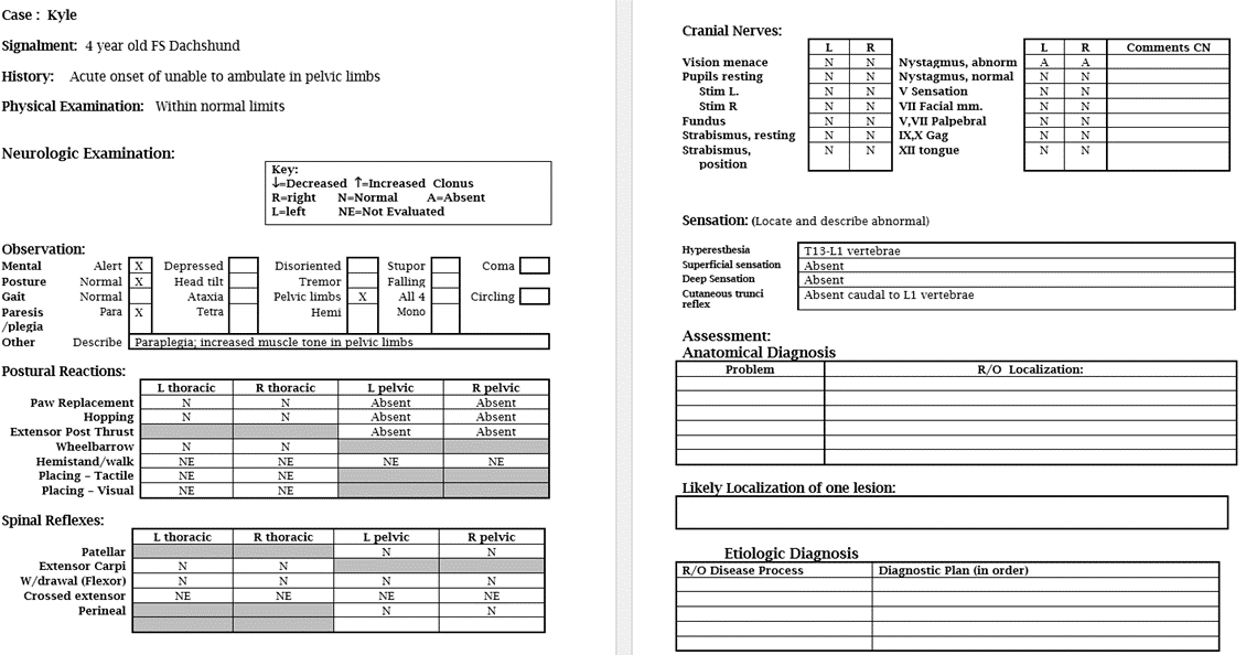 Solved Please uses Kyle's neurological examination, found | Chegg.com