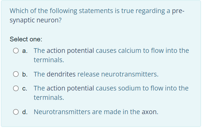 Solved Which of the following occurs both in the action | Chegg.com