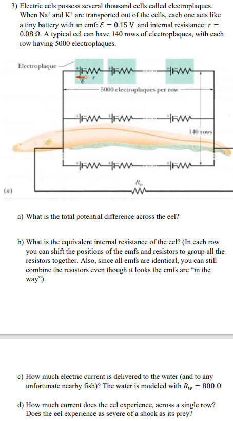 Solved 3) Electric eels possess several thousand cells | Chegg.com