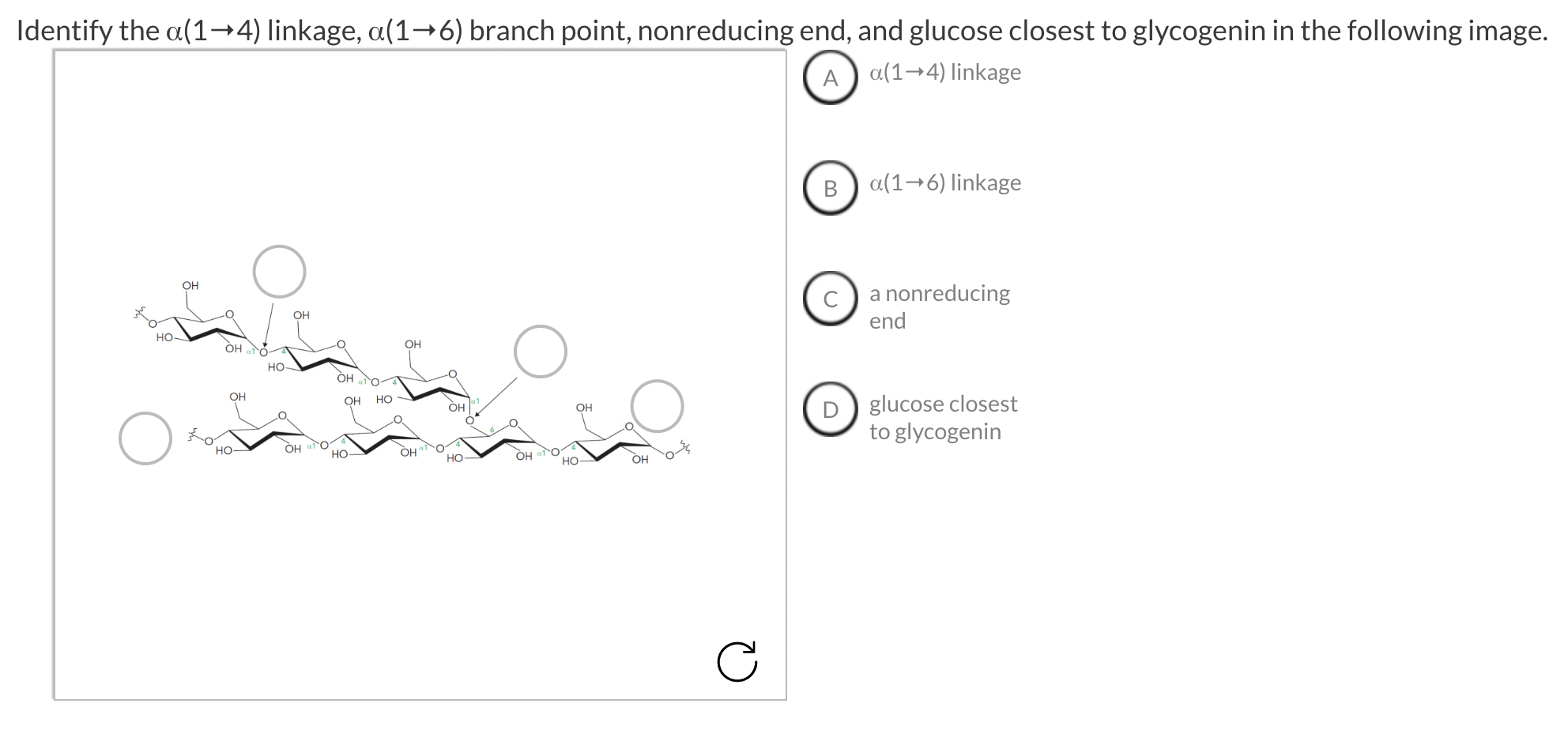 Solved α(1→4) linkage α(1→6) linkage a nonreducing end | Chegg.com