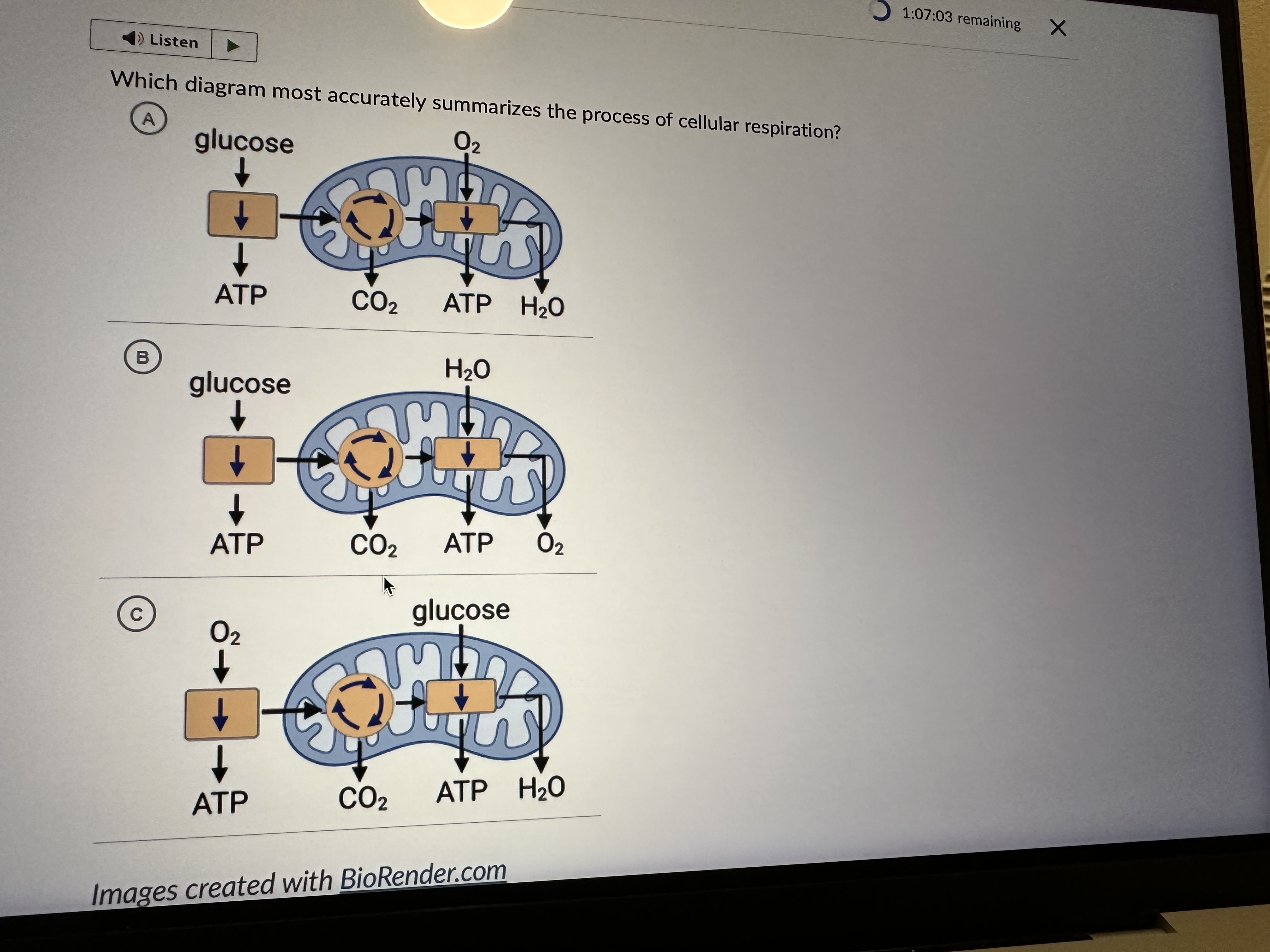 Solved Which diagram most accurately summarizec tha - rocess | Chegg.com