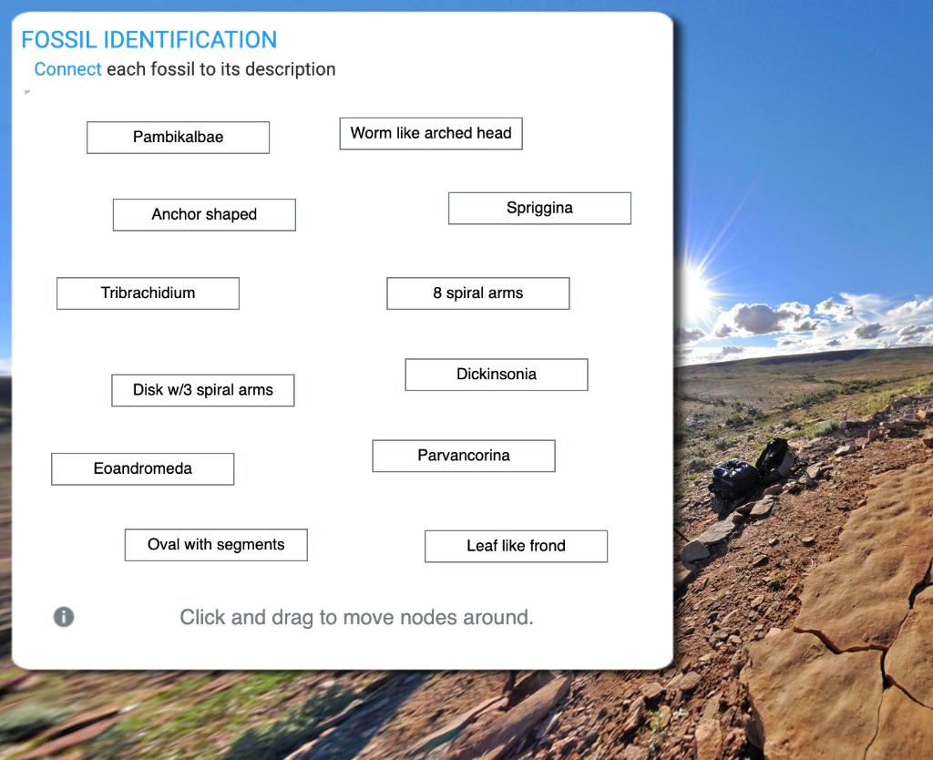 Solved FOSSIL IDENTIFICATION Connect each fossil to its | Chegg.com