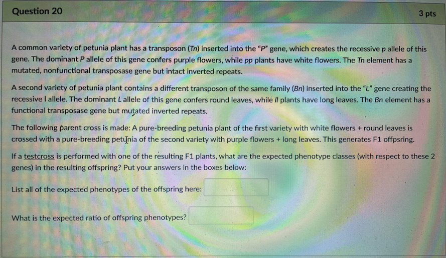 Solved A common variety of petunia plant has a transposon | Chegg.com