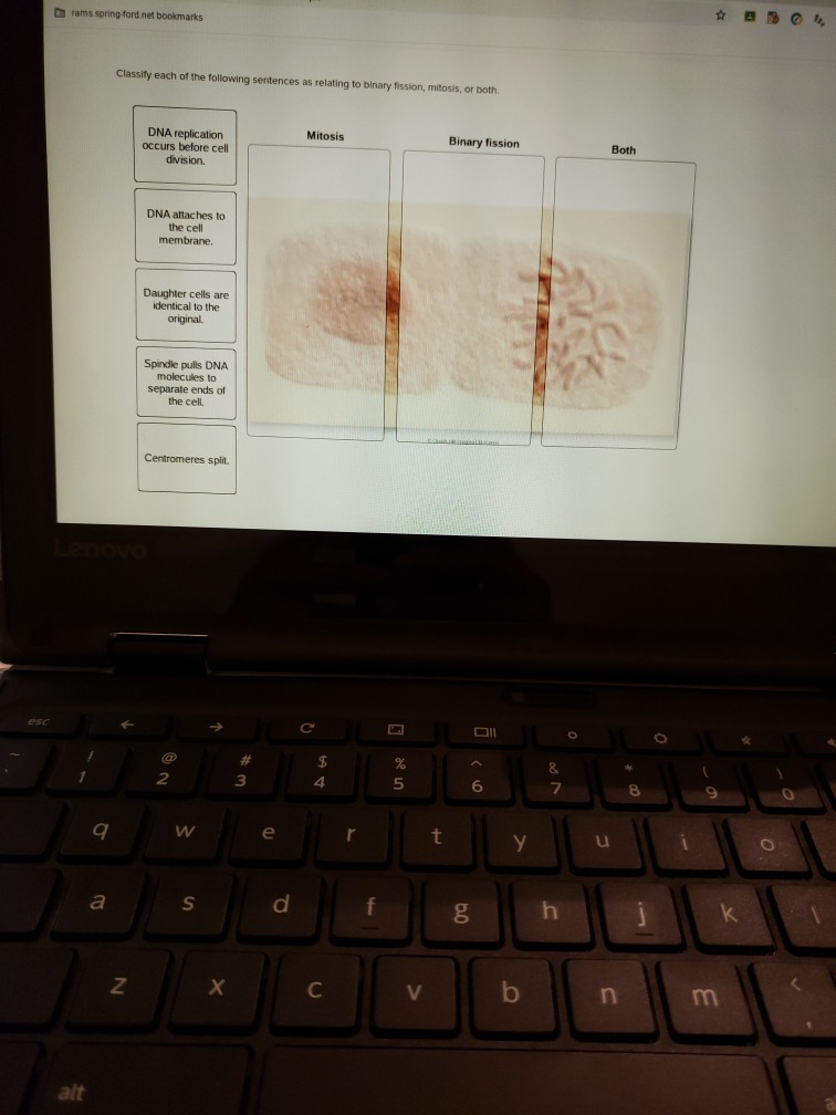 Solved Drams spring-ford net bookmarks Classify each of the | Chegg.com