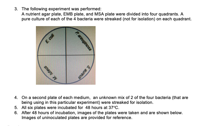 Solved Selective & Differential Media Lab Worksheet | Chegg.com