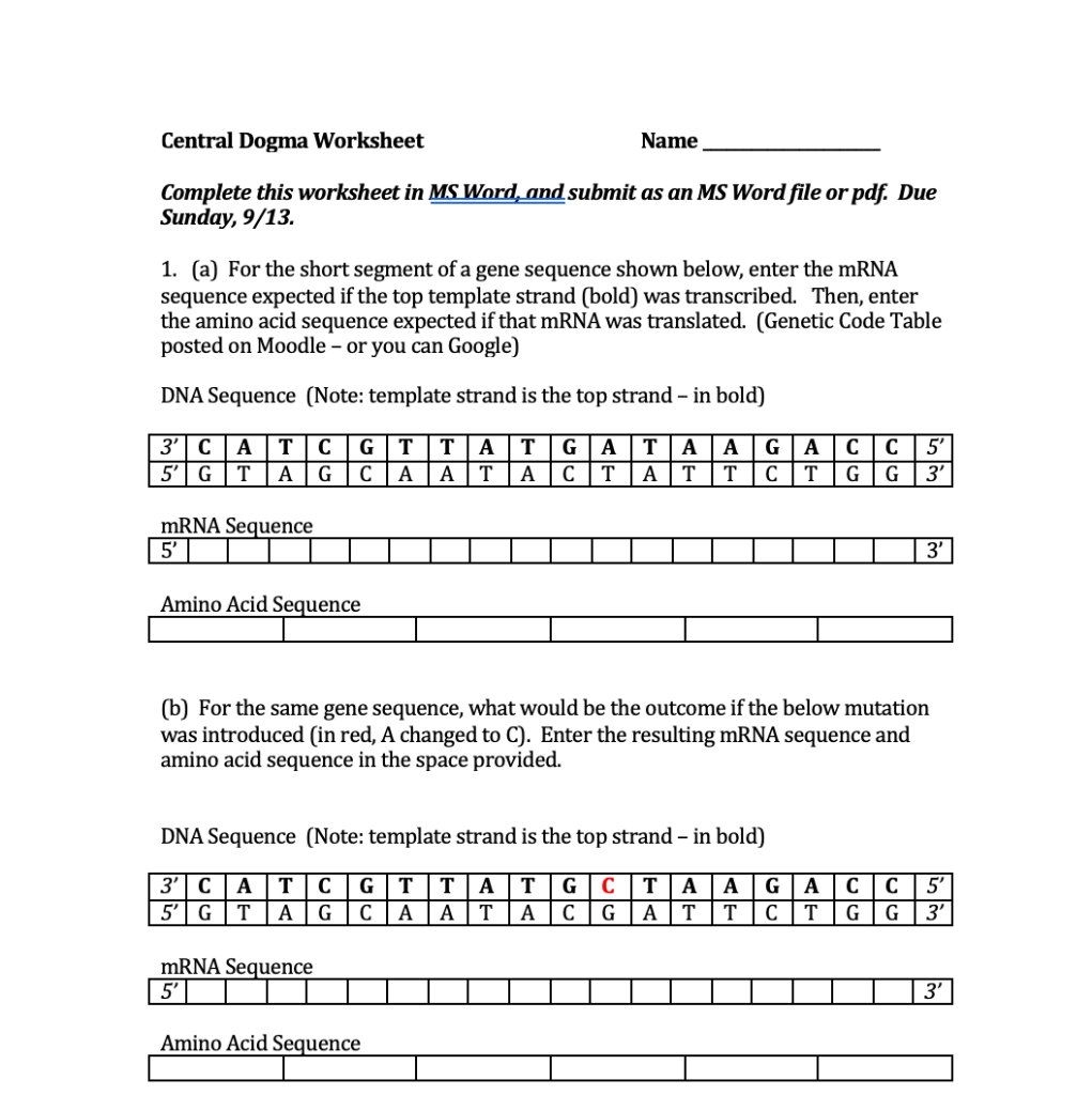 Solved Central Dogma Worksheet Name Complete this worksheet | Chegg.com