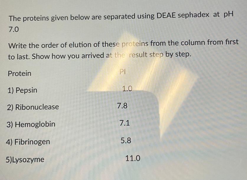 Solved The proteins given below are separated using DEAE | Chegg.com