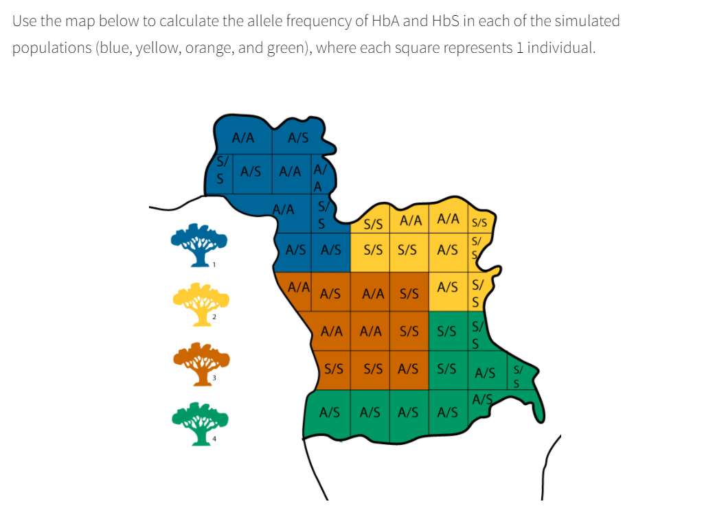 Solved Use the map below to calculate the allele frequency | Chegg.com