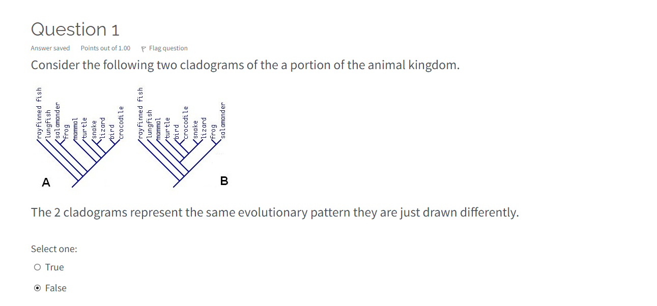 Solved Consider the following two cladograms of the a | Chegg.com