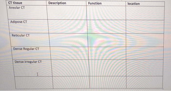 Solved CT tissue Areolar CT Description Function location | Chegg.com