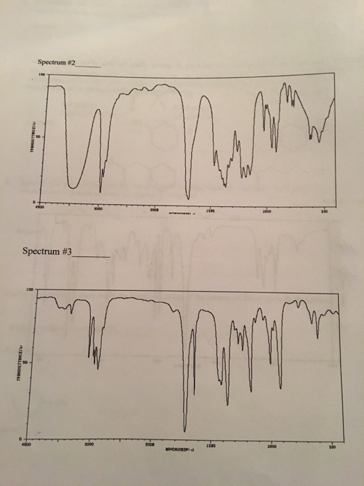 Solved MATCH a structure from the list below blank provided. | Chegg.com