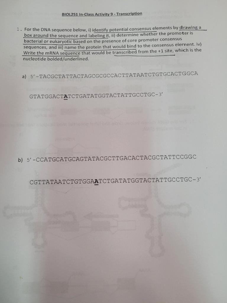 Solved BIOL251 In-Class Activity 9 - Transcription 1. For | Chegg.com