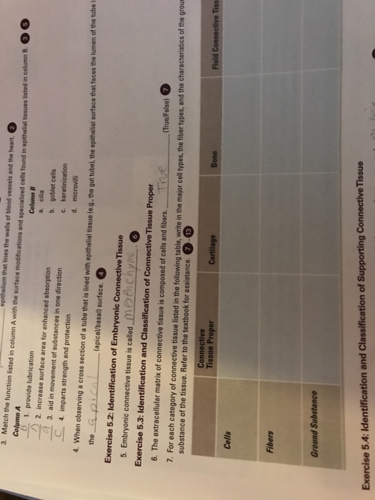 Solved Match the function listed in column A with the | Chegg.com