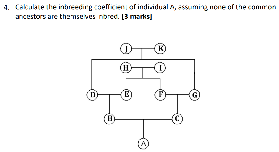 Solved 4. Calculate the inbreeding coefficient of individual | Chegg.com