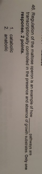 Solved 46. Regulation of the maltose operon is an example of | Chegg.com