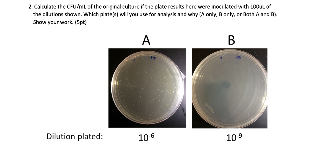 Solved 2. Calculate the CFU/mL of the original culture if | Chegg.com