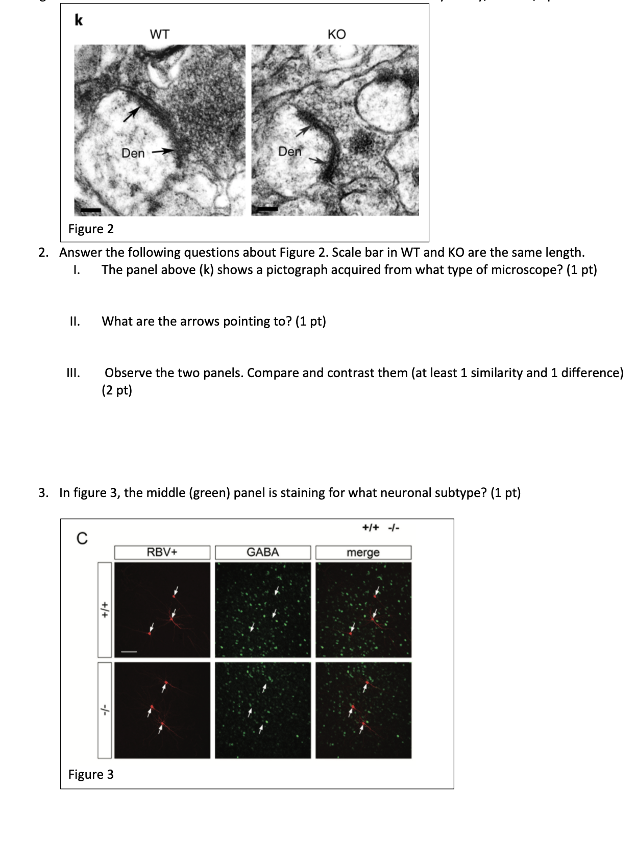 Solved Answer The Following Questions About Figure 2 ﻿scale