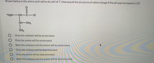 Solved Shown below is the amino acid valine at a pH of 7. | Chegg.com