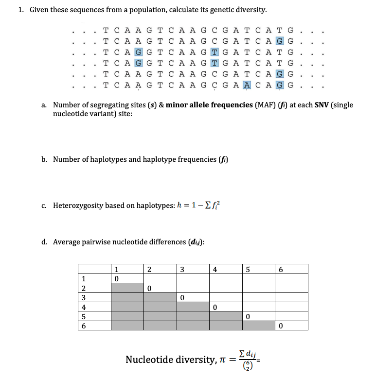 Solved 1. Given these sequences from a population, calculate | Chegg.com